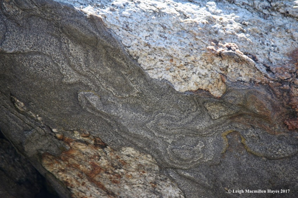 On the Rocks at Pemaquid Point | wondermyway