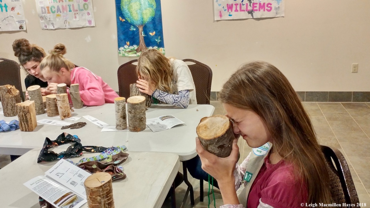 Book of December: Rewilding Our Hearts | wondermyway