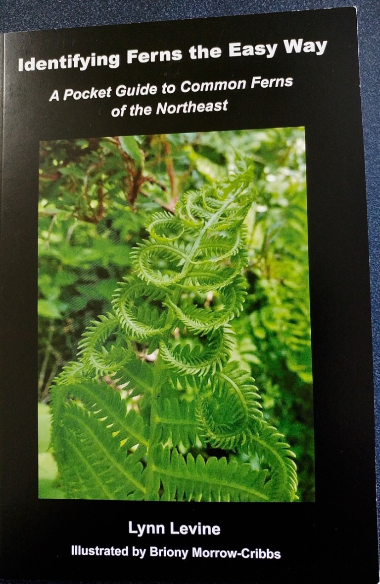 Book of May: Identifying Ferns the Easy Way | wondermyway