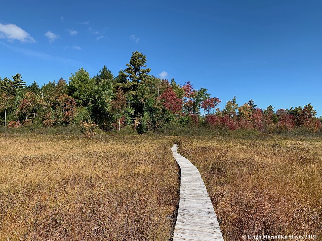 The Story in the Web | wondermyway