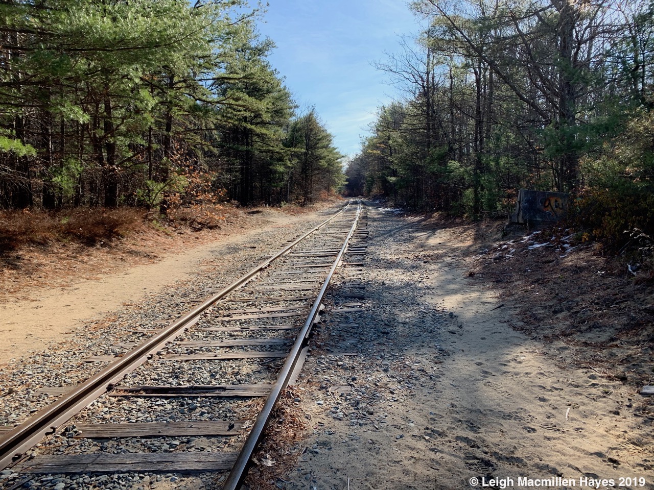 Spotlight on Redstone | wondermyway