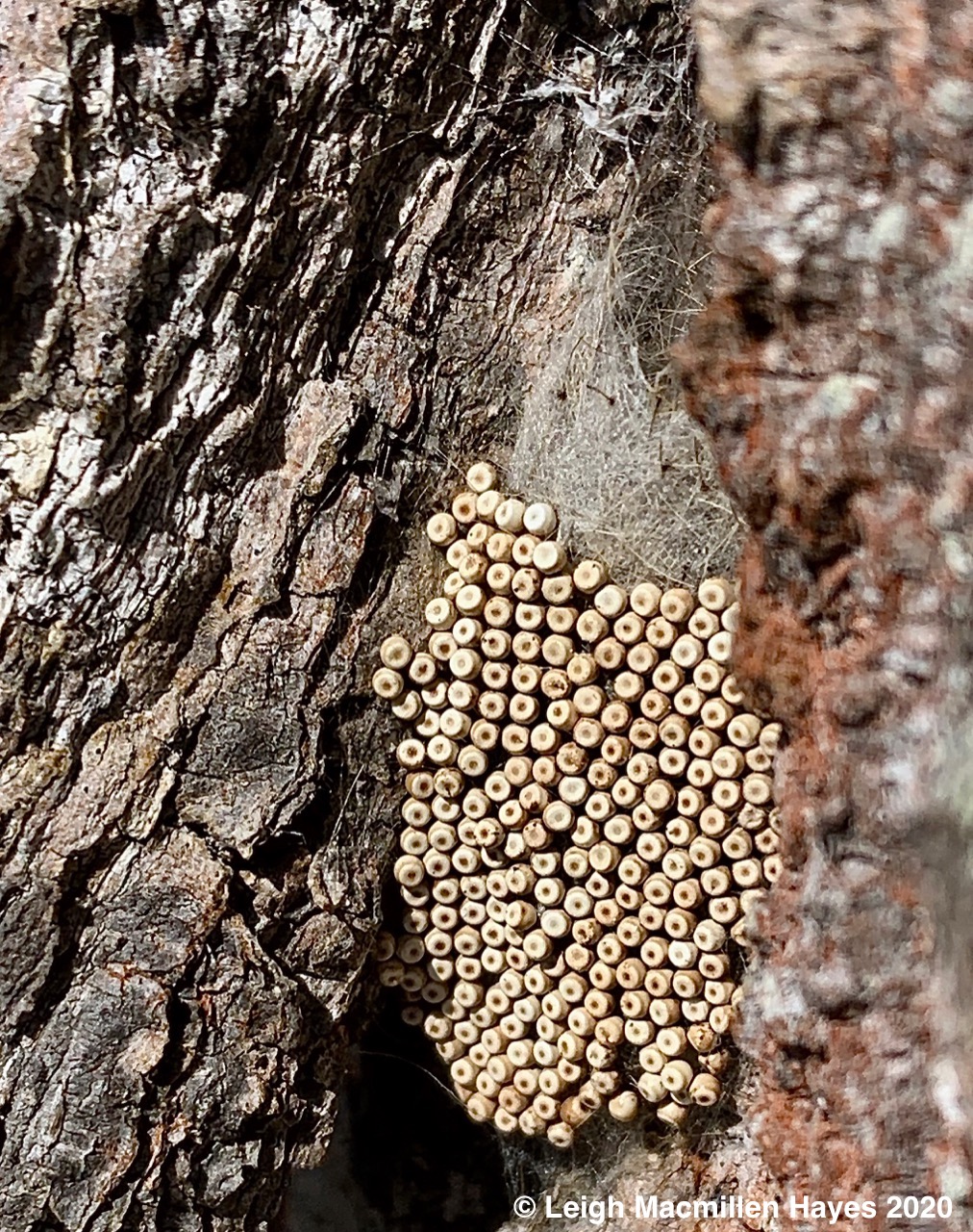 Under the Bubbles | wondermyway