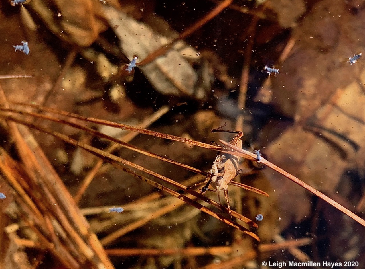 Aqua World | wondermyway