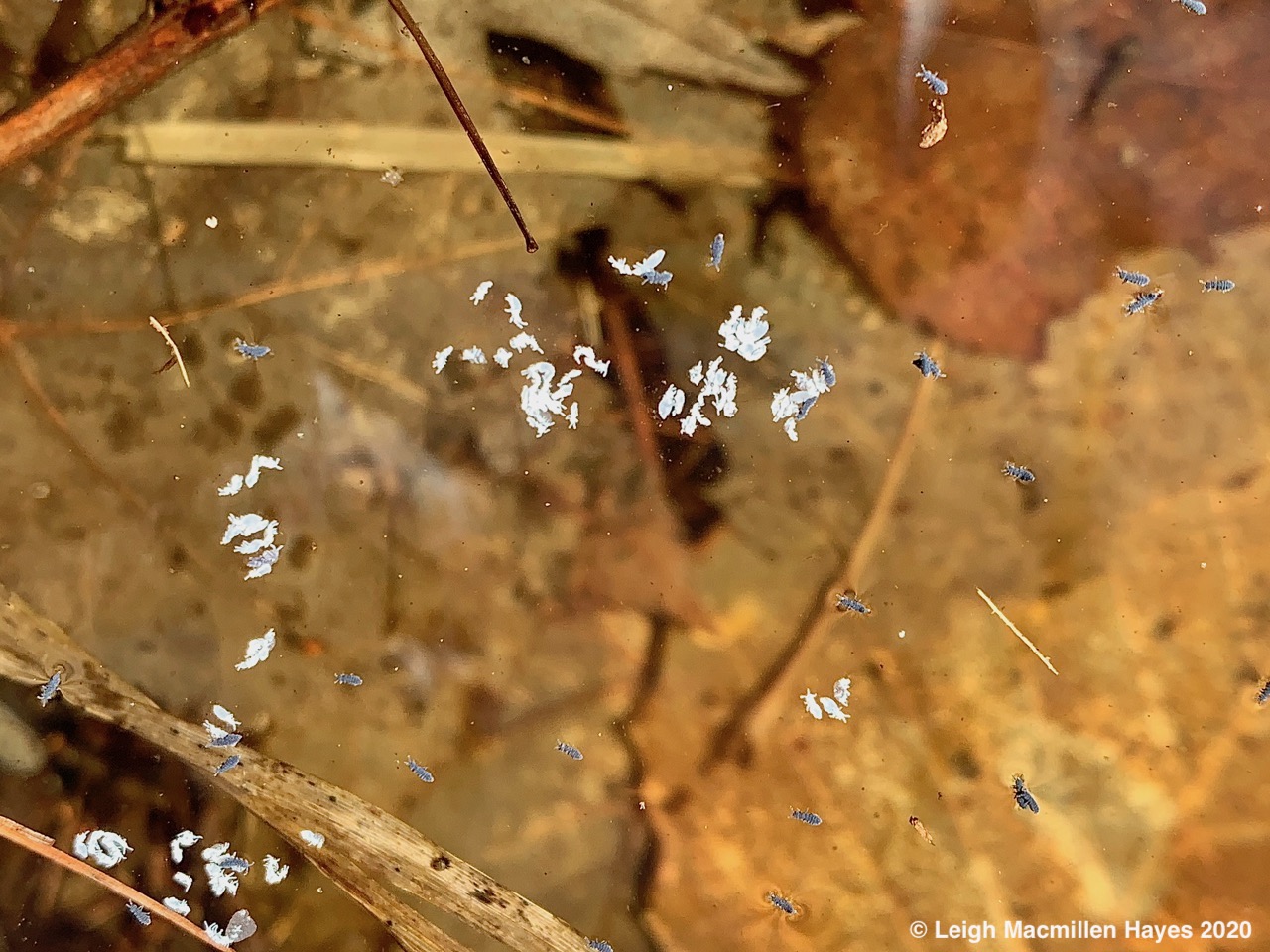 Aqua World | wondermyway